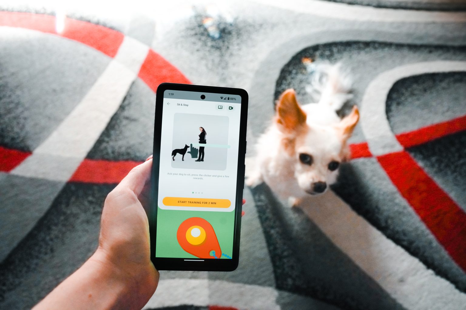 Dogo App Review 2025: An Expert's Breakdown – Dogster