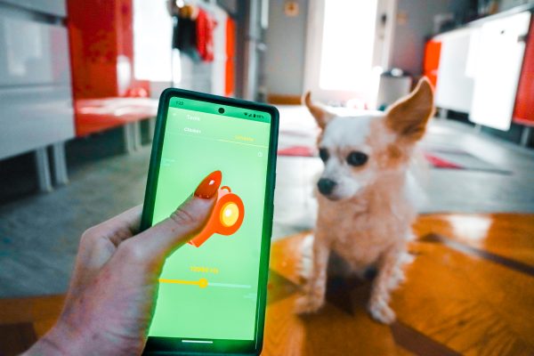Dogo App Review 2026: An Expert's Breakdown – Dogster