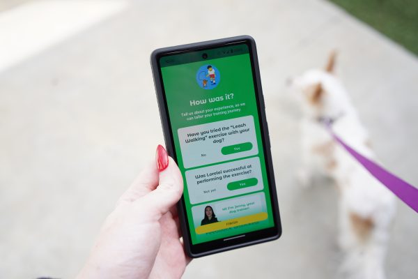 Dogo App Review 2024: An Expert's Breakdown – Dogster