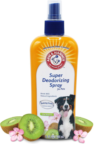 10 Best Dog Deodorizing Sprays in 2024 – Reviews & Top Picks – Dogster