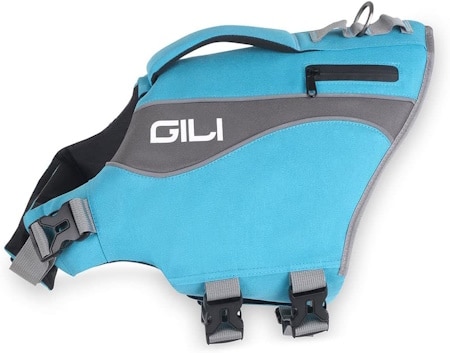 10 Best Dog Life Jackets for Your Pup in 2024 - Reviews & Top Picks ...