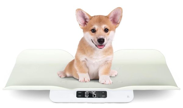 10 Best Pet Scales for Dogs in 2025: Reviews & Top Picks – Dogster