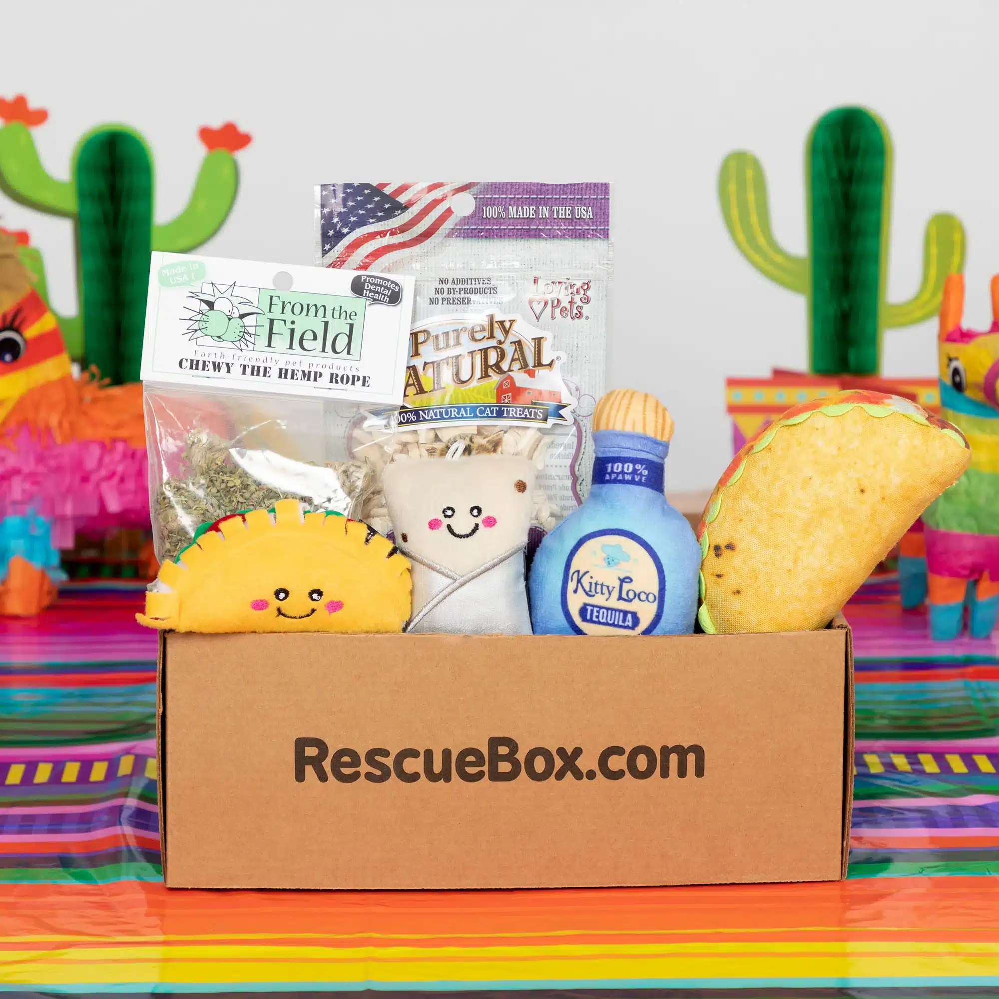 10 Best Dog Subscription Boxes in 2024 - Reviews & Top Picks – Dogster