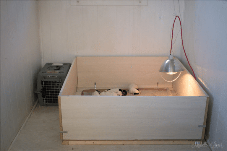 8 DIY Whelping Box Plans You Can Make at Home – Dogster