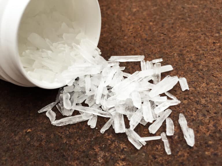 What Happens When Dogs Consume Meth? (Vet Answer) – Dogster