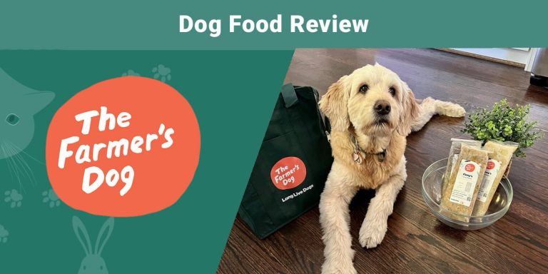 The Farmer’s Dog Food Review 2025: Pros & Cons (Vet Approved) – Dogster