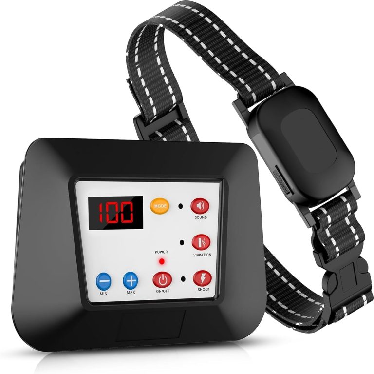 9 Best Wireless Dog Fences in 2026 – Reviews & Top Picks – Dogster