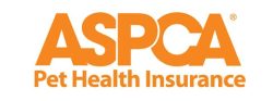 10 Best Dog Insurance Companies in 2026 - Reviews & Top Picks – Dogster