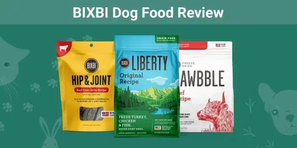 BIXBI Dog Food Review 2024: Recalls, Pros & Cons – Dogster