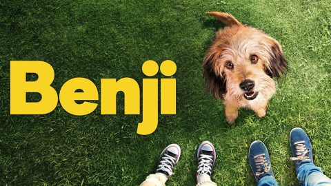 What Breed of Dog Is Benji? Famous Movie Character Facts – Dogster