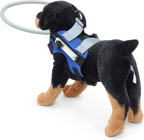 7 Best Harnesses for Blind Dogs in 2024 - Reviews & Top Picks – Dogster