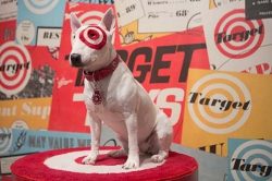 What Breed Is Bullseye the Dog from Target? Famous Pup Facts – Dogster
