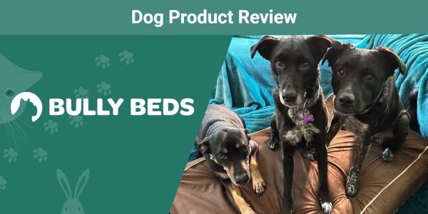 Bully Bed Orthopedic Large Dog Bed Review 2024: An Expert Breakdown ...