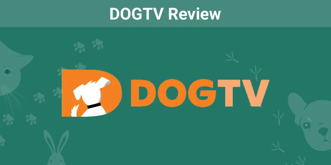 DOGTV Review 2024: Our Expert’s Opinion: Pros, Cons & Verdict – Dogster