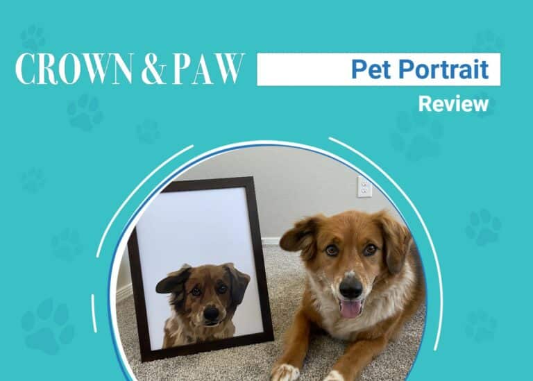Crown & Paw Pet Portraits Review 2025: An Expert's Breakdown – Dogster