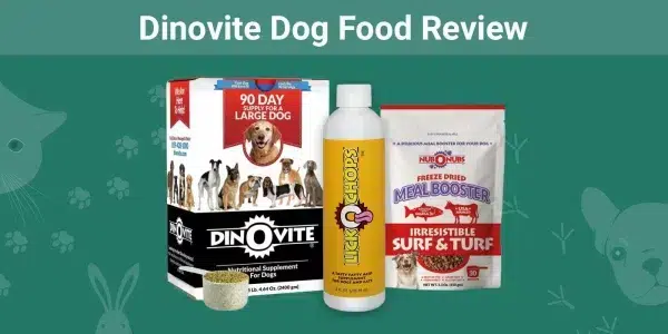 Dinovite Dog Food Review 2024: Recalls, Pros & Cons – Dogster