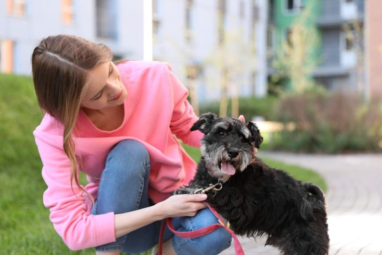 What Language Does a Dog Think In? What Science Says – Dogster