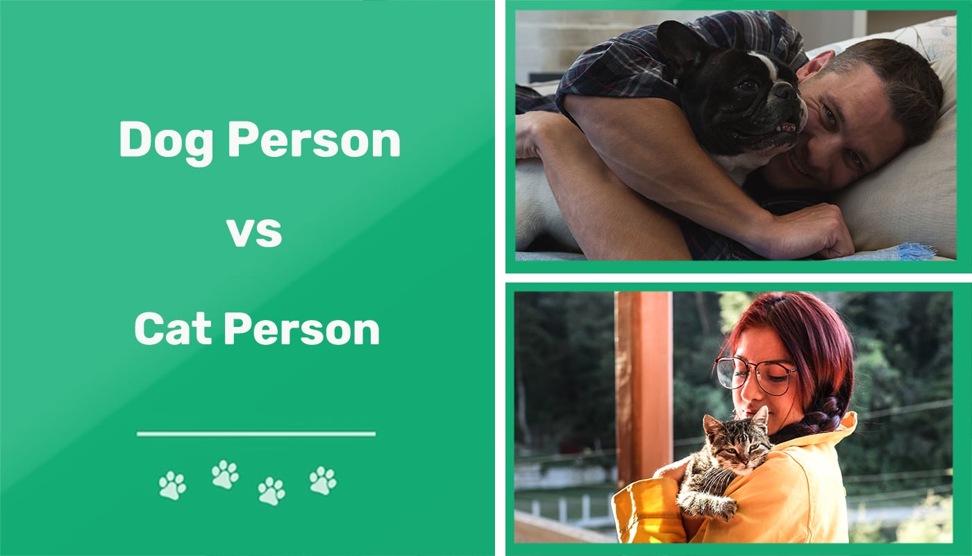Dog Person vs Cat Person: Psychological Differences Explained – Dogster