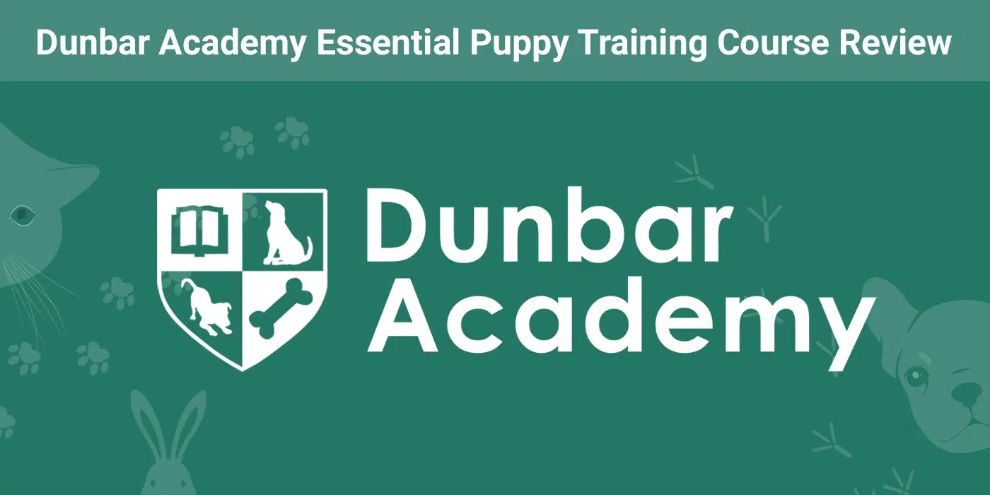 Dunbar Academy Essential Puppy Training Course Review 2024: Our Expert ...