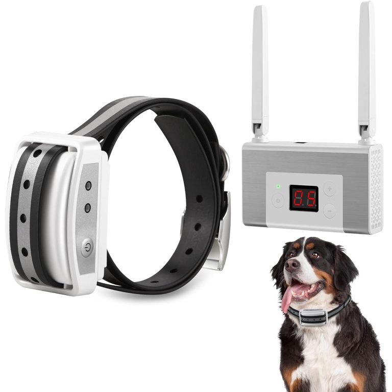 10 Best Wireless Dog Fences in 2025 – Reviews & Top Picks – Dogster