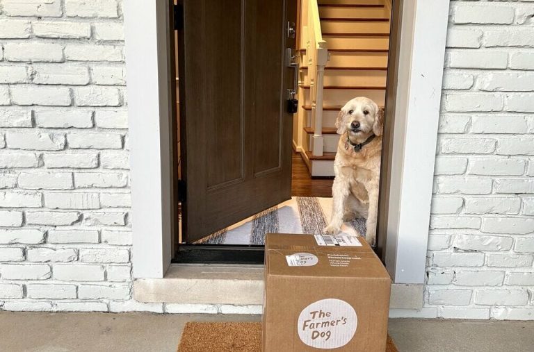 9 Best Fresh Dog Food Delivery Services in 2025 - Reviews & Top Picks ...