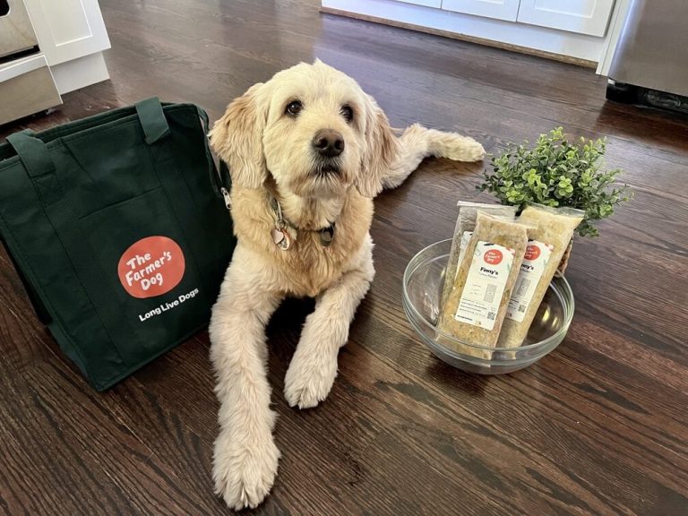 10 Best Dog Foods for Greyhounds in 2026 - Reviews & Top Picks – Dogster