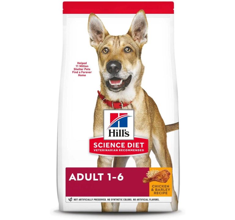 10 Best Dog Foods for Greyhounds in 2025 - Reviews & Top Picks – Dogster