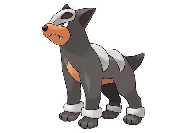 39 Dog Pokémon from All Generations (Updated In 2024) – Dogster