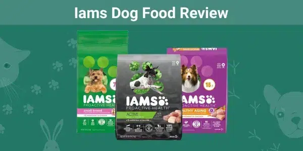 Iams Dog Food Review 2024: Pros, Cons, Recalls & FAQs – Dogster