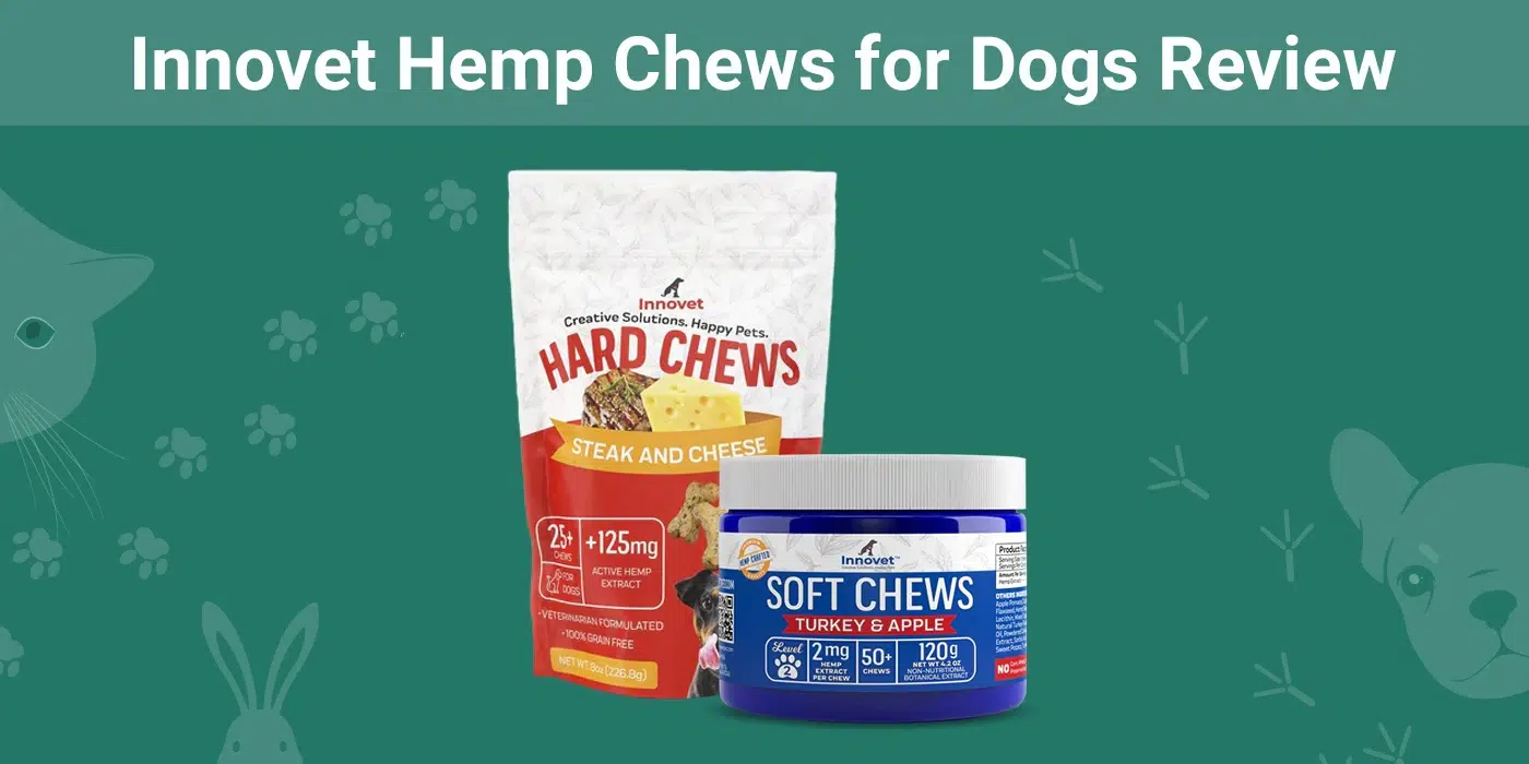 Innovet Hemp Chews for Dogs Review 2024: Our Expert’s Opinion – Dogster