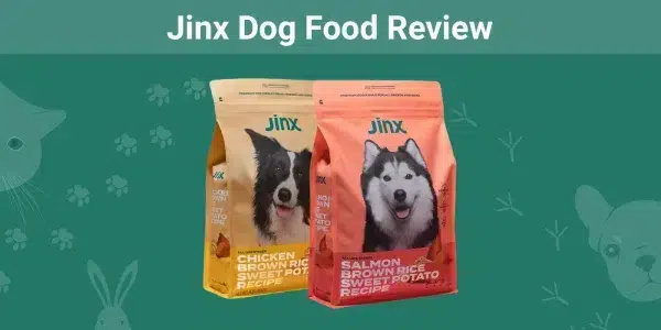 Jinx Dry Dog Food Hot Sale | laseb.fae.ufmg.br