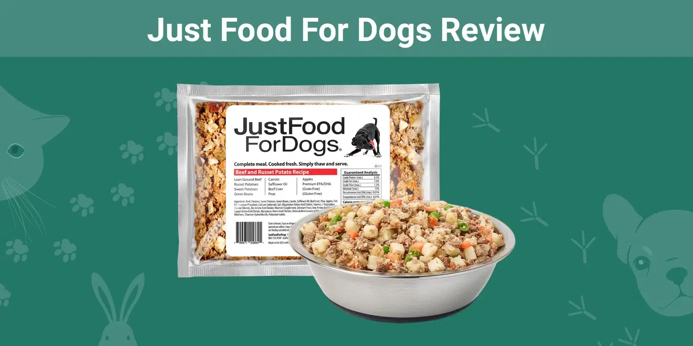 Just Food For Dogs Review 2024: Our Expert’s Opinion – Dogster
