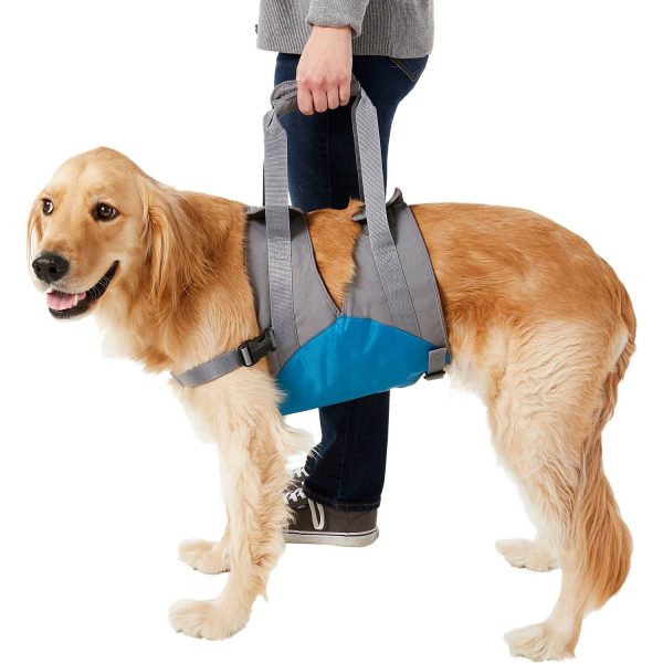 9 Best Dog Lift Harnesses in 2026 - Reviews & Top Picks – Dogster