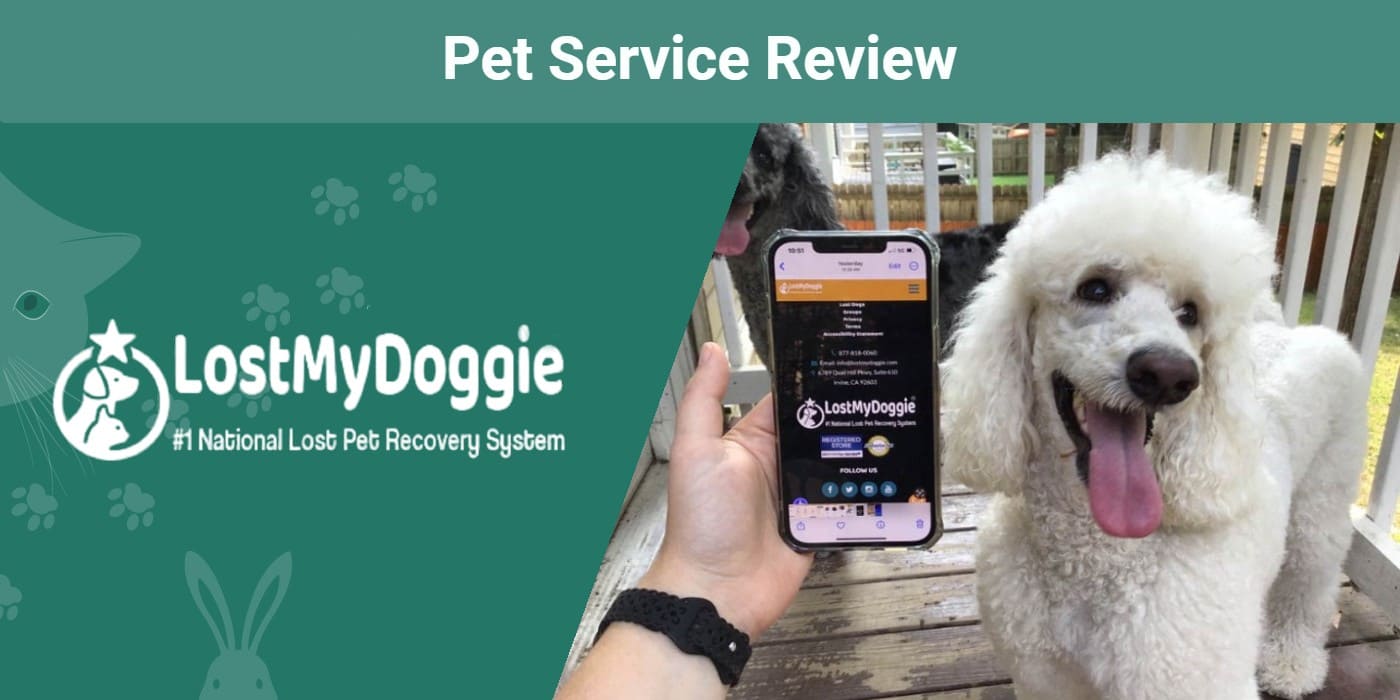 Lost My Doggie Pet Recovery System Review 2024: An Expert's Breakdown ...