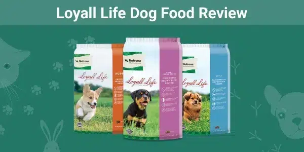 Loyall Life Dog Food Review 2024: Pros, Cons, Recalls & FAQ – Dogster