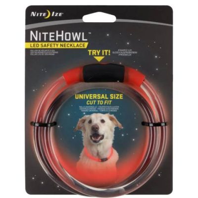 9 Best LED & Light-Up Dog Collars in 2024 – Reviews & Top Picks – Dogster