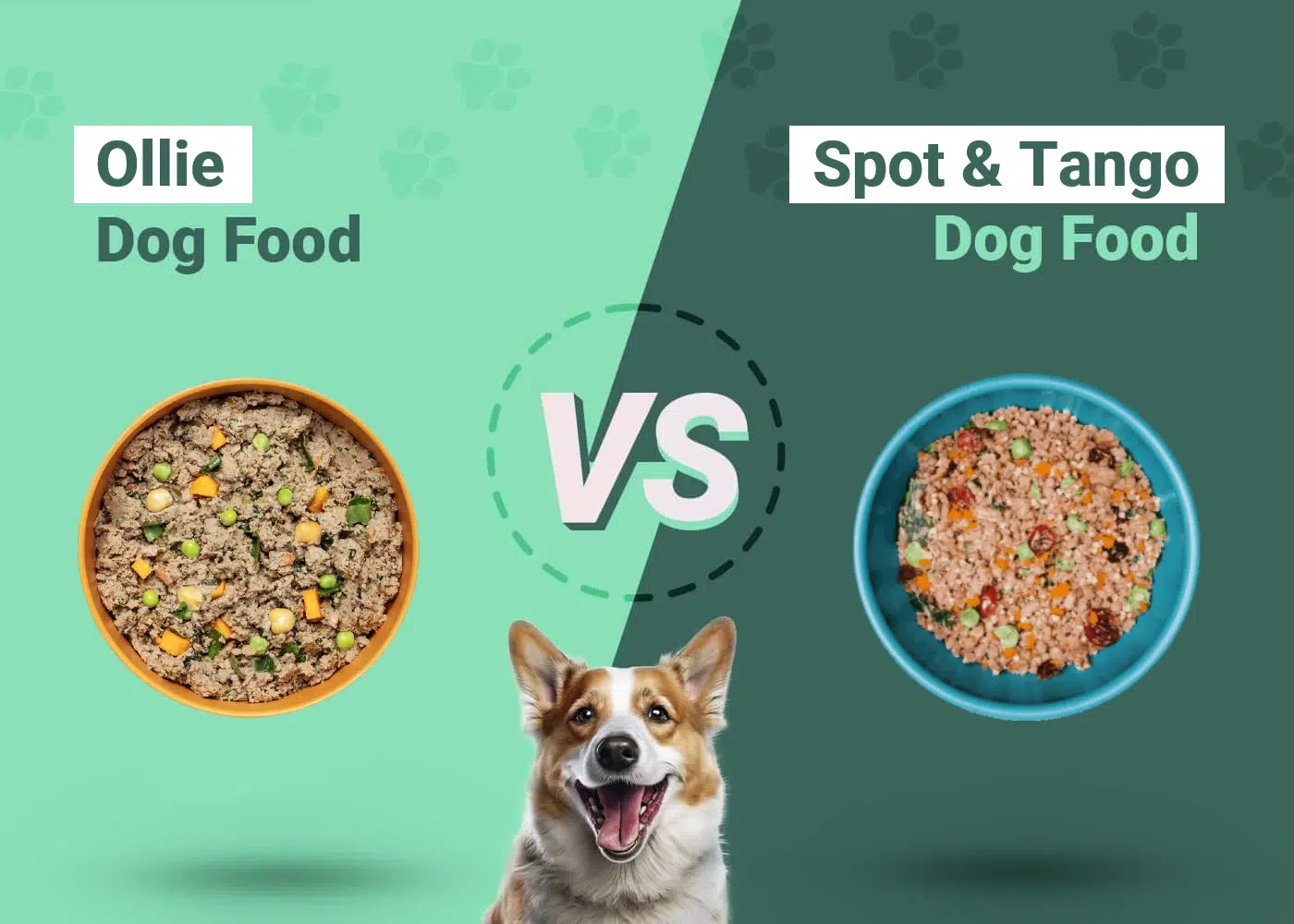 Ollie vs Spot & Tango 2025 Comparison: Which Fresh Dog Food is Better ...