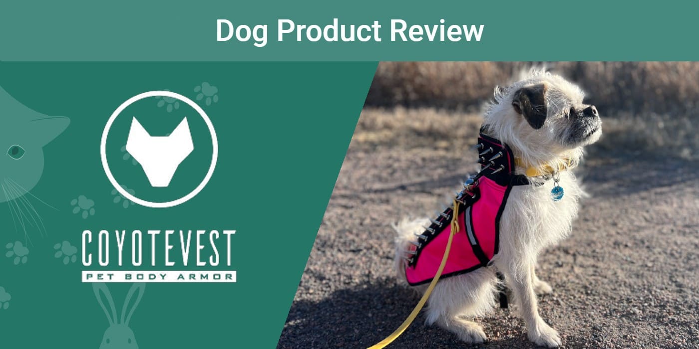 CoyoteVest Review 2024: An Expert Breakdown – Dogster