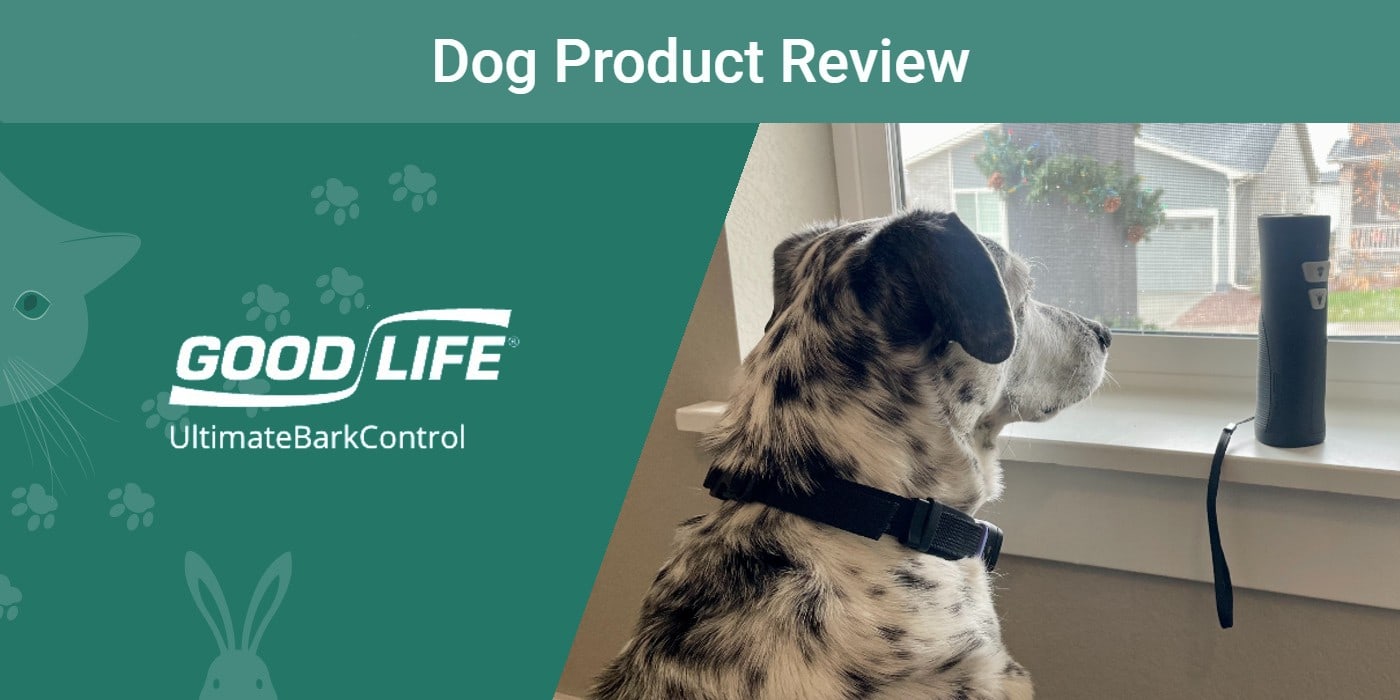 Ultimate Bark Control OnGuard Review 2024: An Expert's Breakdown – Dogster