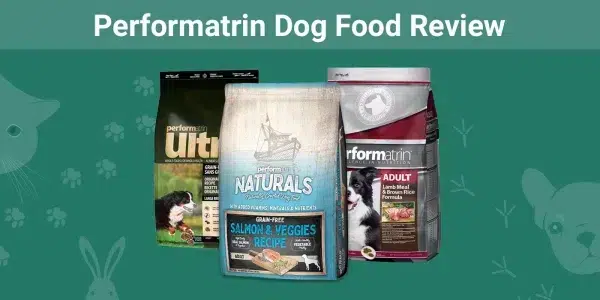 Performatrin Dog Food Review 2024: Recalls, Pros & Cons – Dogster