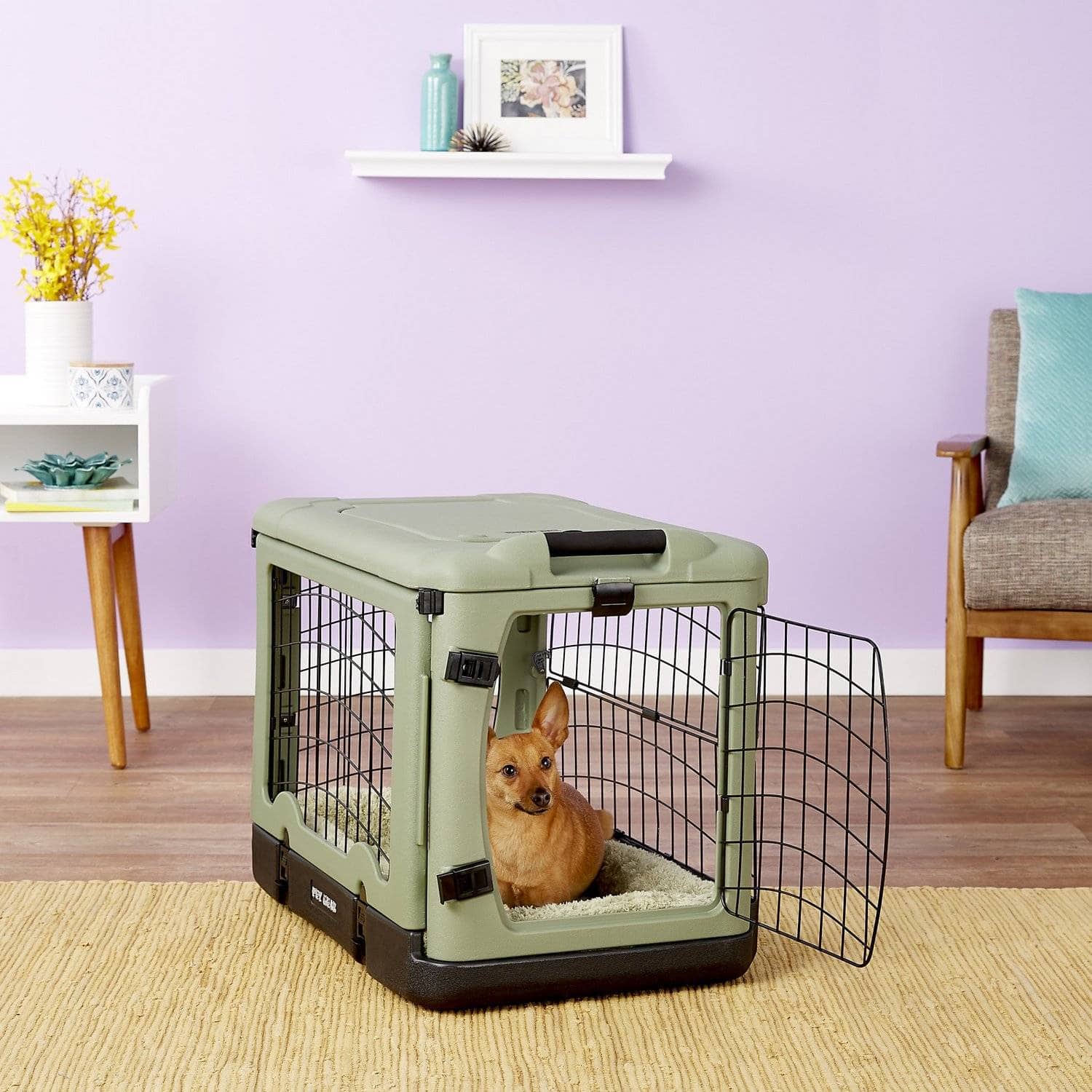 10 Best Crates for Small Dogs in 2024 - Reviews & Top Picks – Dogster