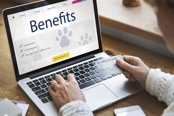 10 Best Dog Insurance Companies in 2026 - Reviews & Top Picks – Dogster