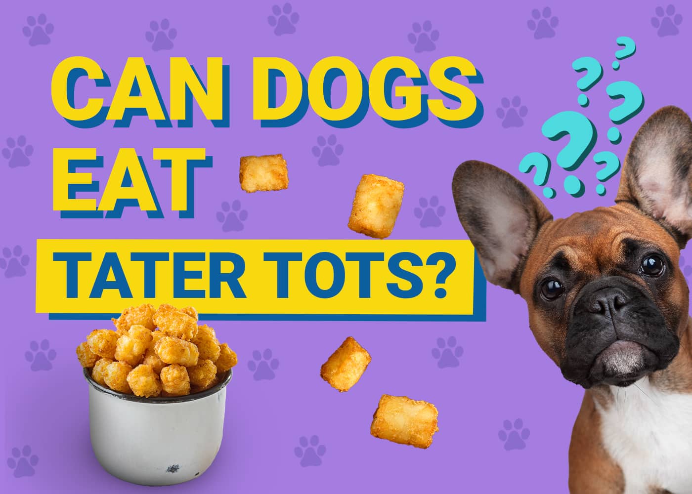 Can Dogs Eat Tater Tots? Vet-Approved Facts & FAQ – Dogster