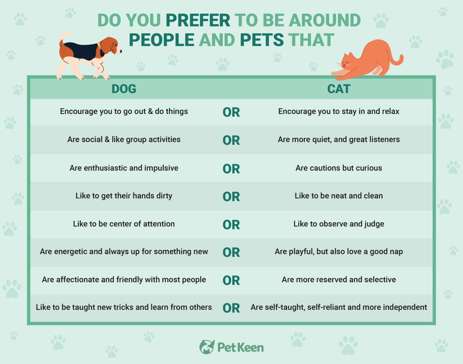 Are You a Dog Person or a Cat Person? Optical Illusion Quiz – Dogster