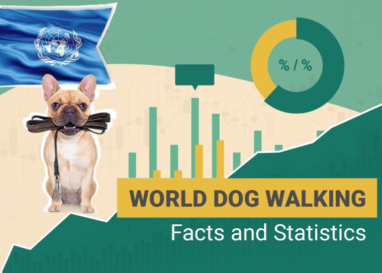 10 Dog Walking Statistics for 2026: How Much People Walk Their Pups ...