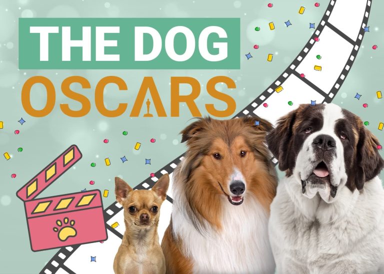 The Dog Oscars: Presenting Hollywood’s Top Dog Movies, Actors ...