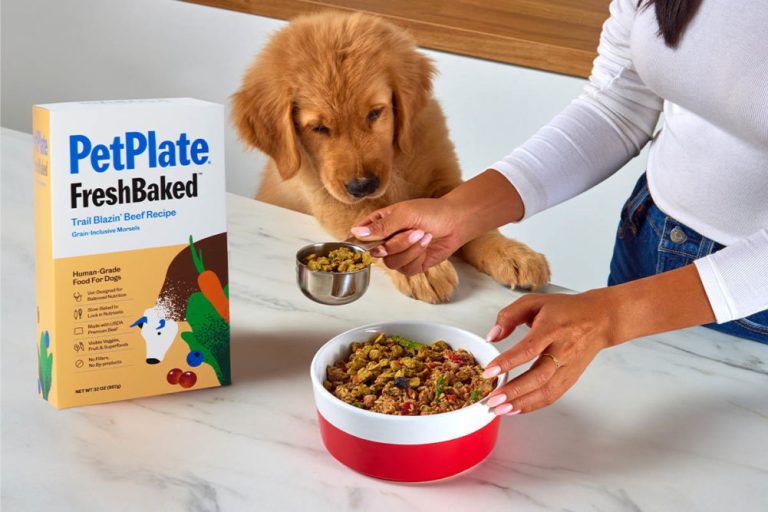 10 Best Fresh Dog Food Delivery Services in 2026 - Reviews & Top Picks ...