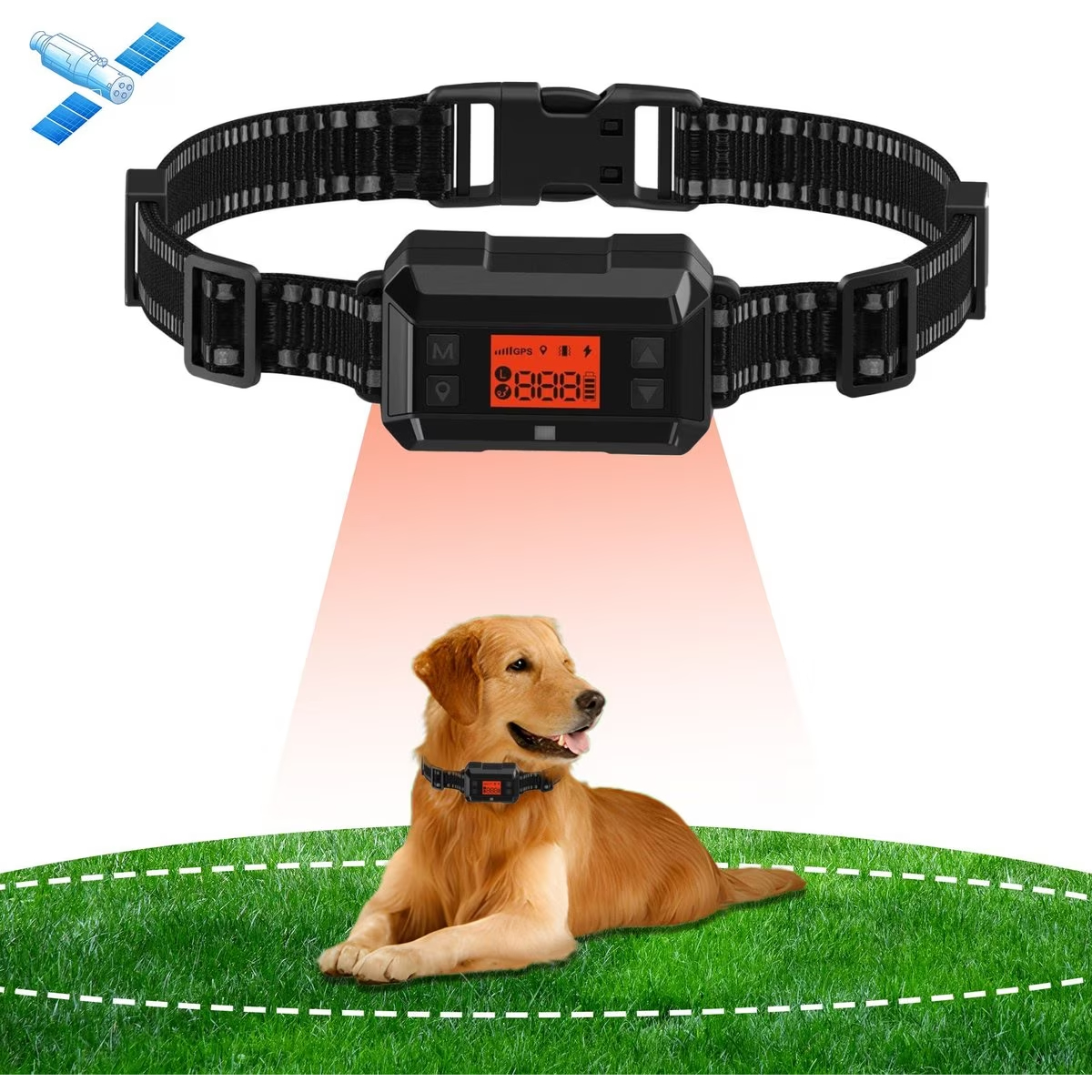 10 Best Wireless Dog Fences in 2024 - Reviews & Top Picks – Dogster