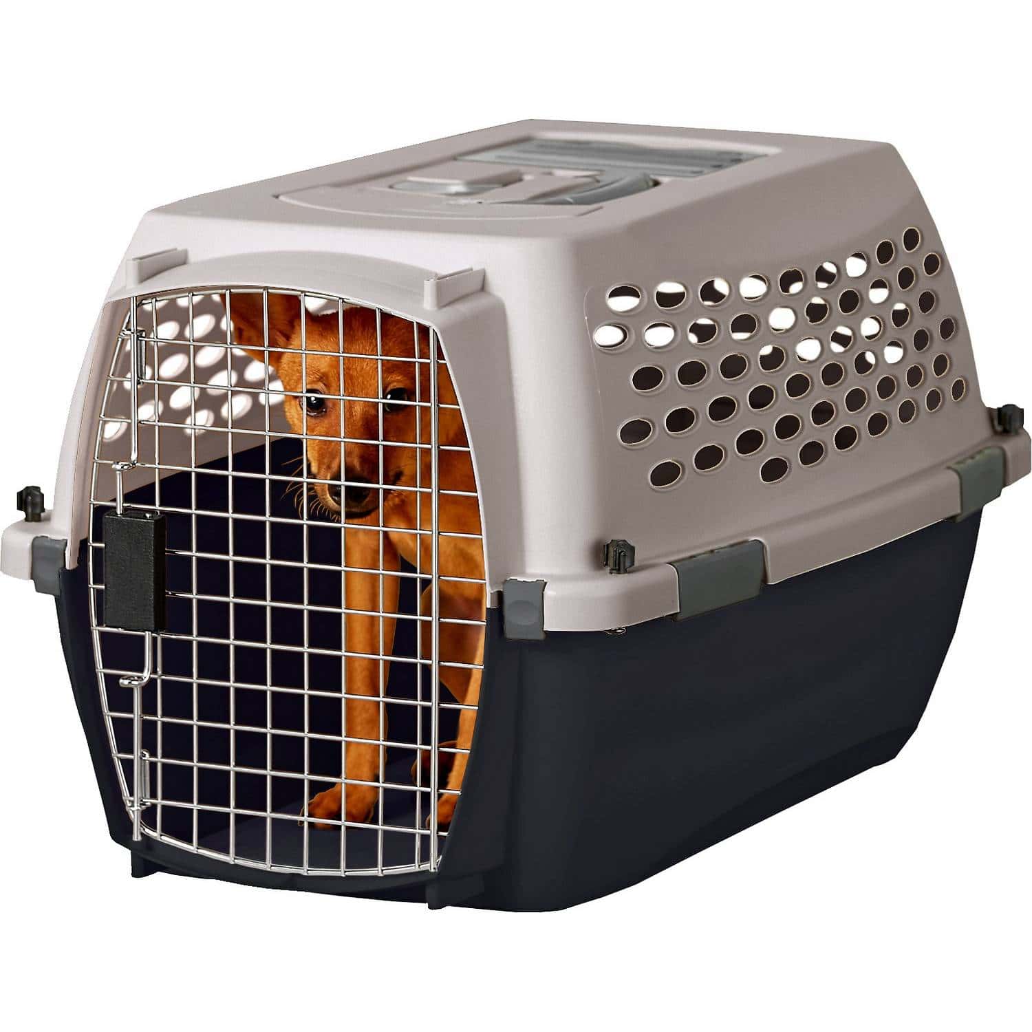10 Best Crates for Small Dogs in 2024 - Reviews & Top Picks – Dogster