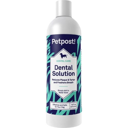 8 Best Dog Dental Water Additives in 2026 - Reviews & Top Picks – Dogster